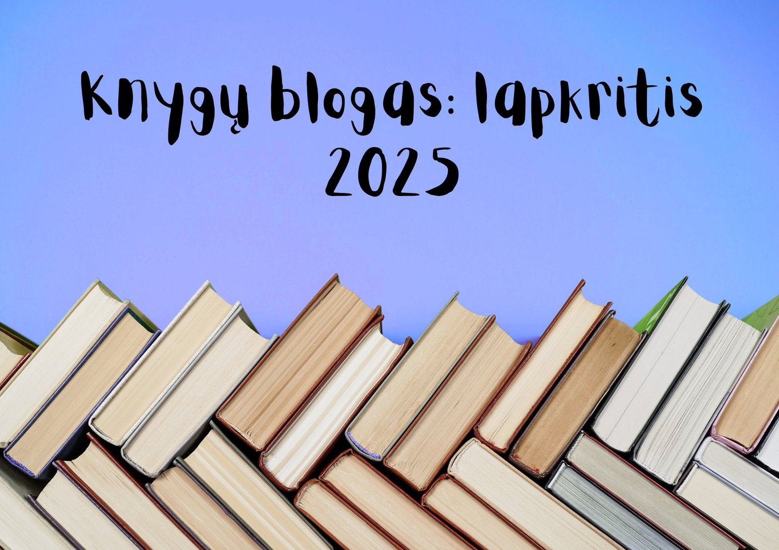 Knygų blogas: 2025 lapkritis - Veni Vidi BLOG
